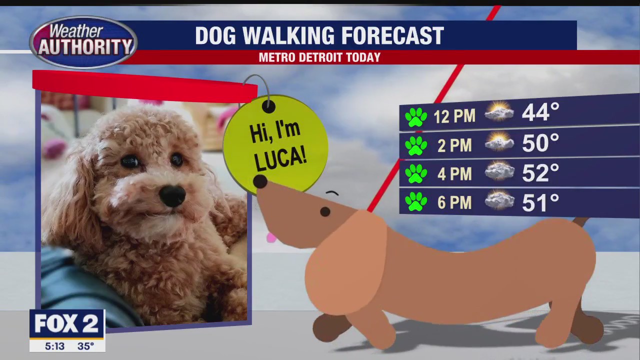 50s for Tuesday | FOX 2 Detroit