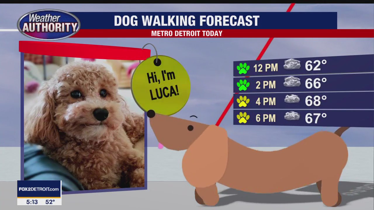 Monday Clouds | FOX 2 Detroit