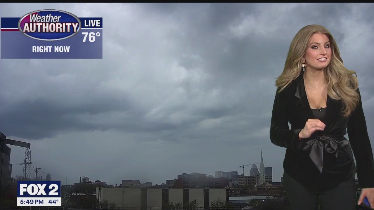 Cool and damp stretch | FOX 2 Detroit