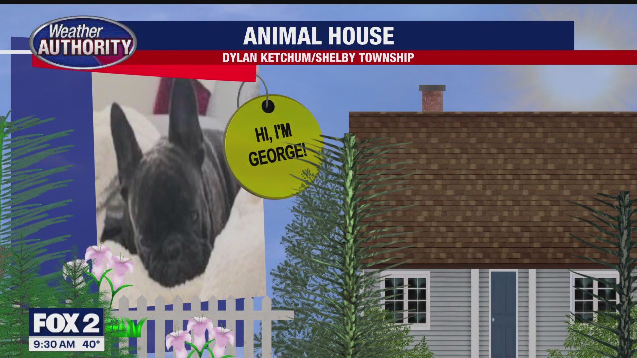 Welcome George | FOX 2 Detroit
