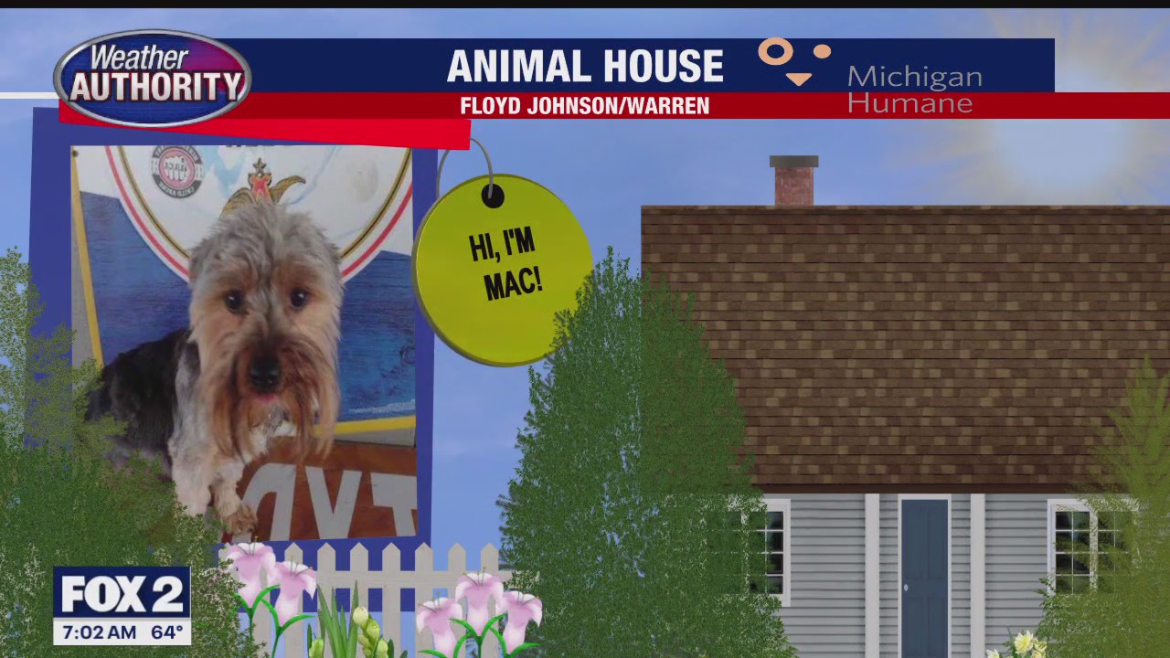 Meet Mac | FOX 2 Detroit