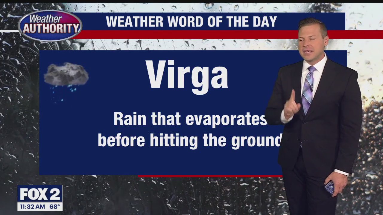 A cloudy start to the day but becoming more sunny | FOX 2 Detroit