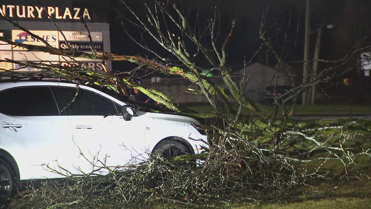 Storm damage in Troy after heavy winds rip through region | FOX 2 Detroit