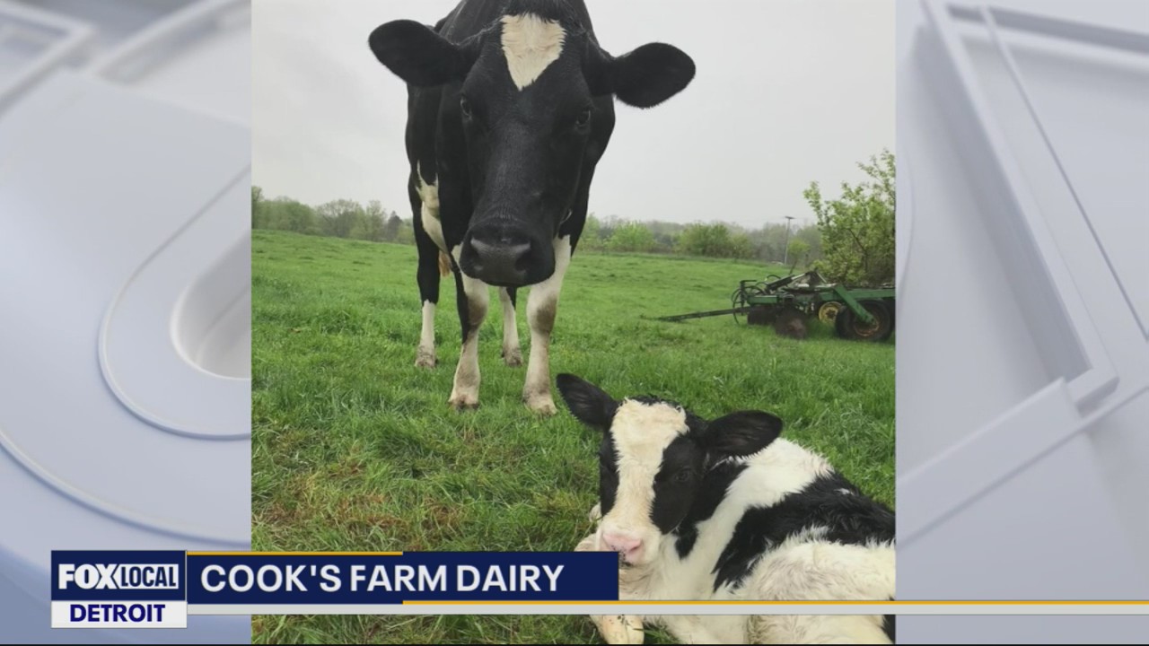 Cooks Farm Dairy | FOX 2 Detroit
