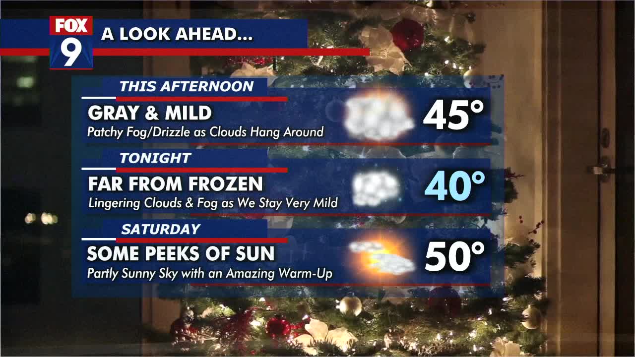 MN weather: Gray and gloomy Friday | FOX 9 Minneapolis-St. Paul