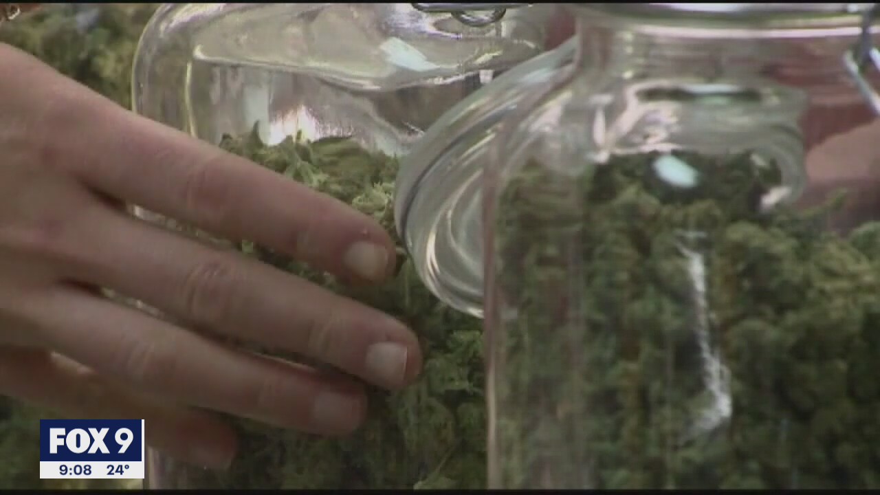 Minnesotans react to Gov. Walz's recreational marijuana budget proposal ...