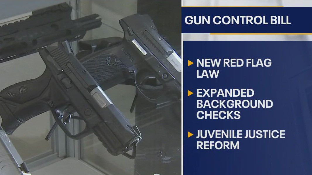 Gun control bill passed the Minnesota House | FOX 9 Minneapolis-St. Paul