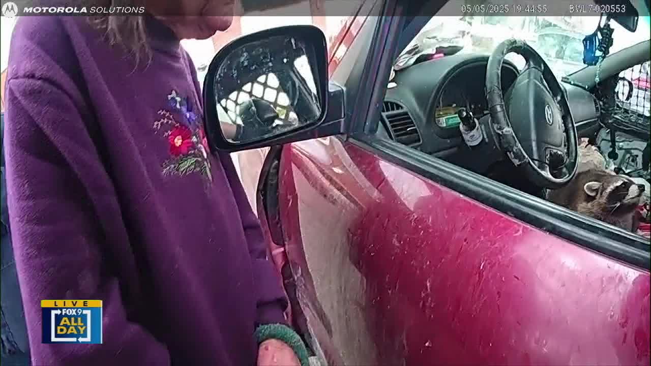 Raccoon caught 'smoking' meth in bodycam footage | FOX 9 Minneapolis-St ...