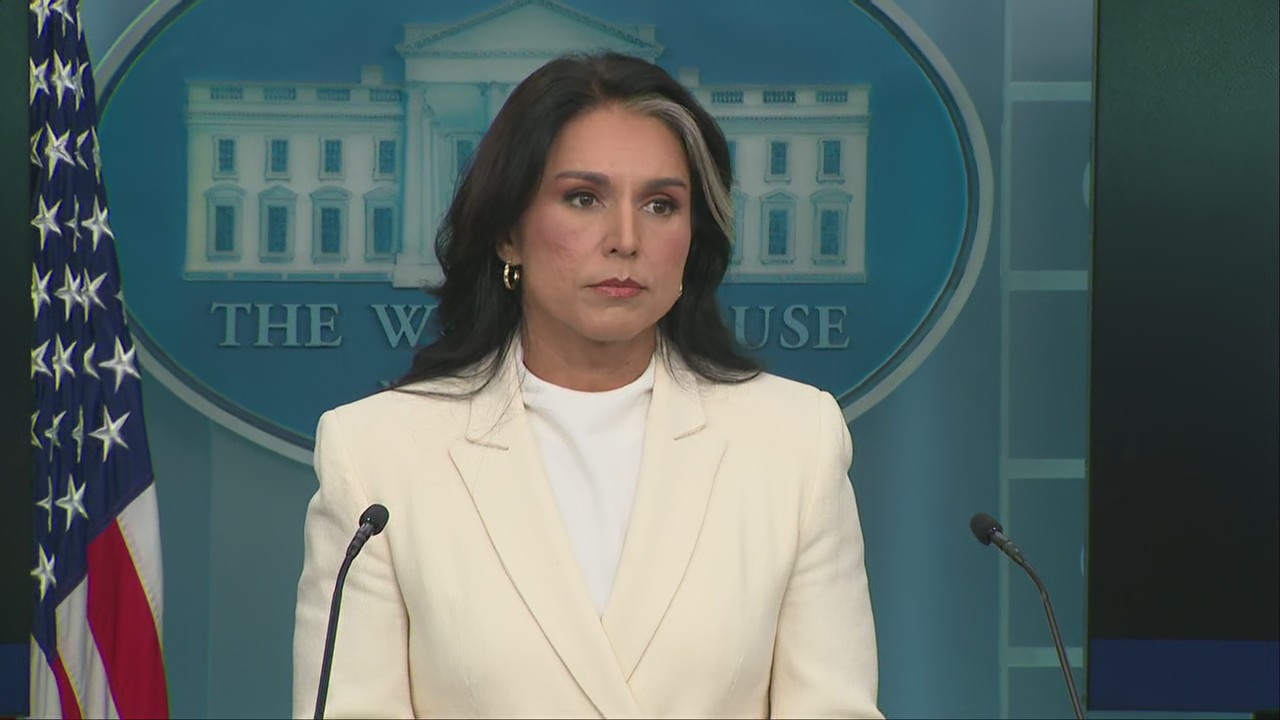 Tulsi Gabbard grilled on accusations against Obama | FOX 9 Minneapolis ...