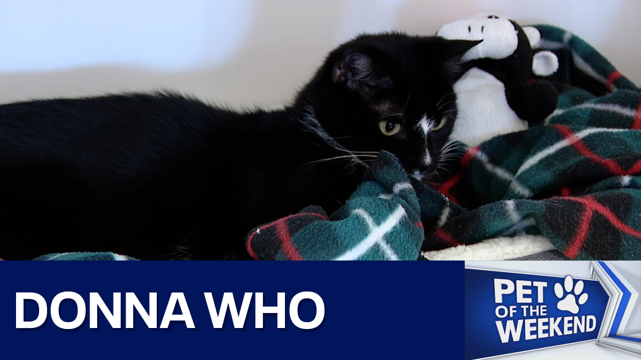 Meet Donna Who? at WCRAS | FOX 7 Austin
