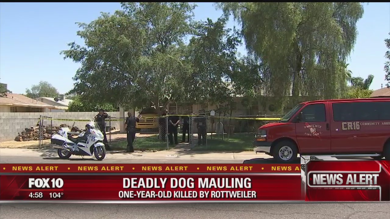 One-year-old dead after Rottweiler attack in Phoenix | FOX 10 Phoenix