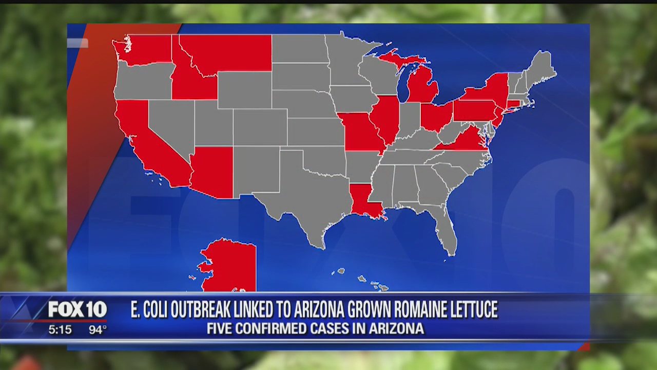 E. Coli outbreak linked to Arizona grown romaine lettuce | FOX 10 Phoenix