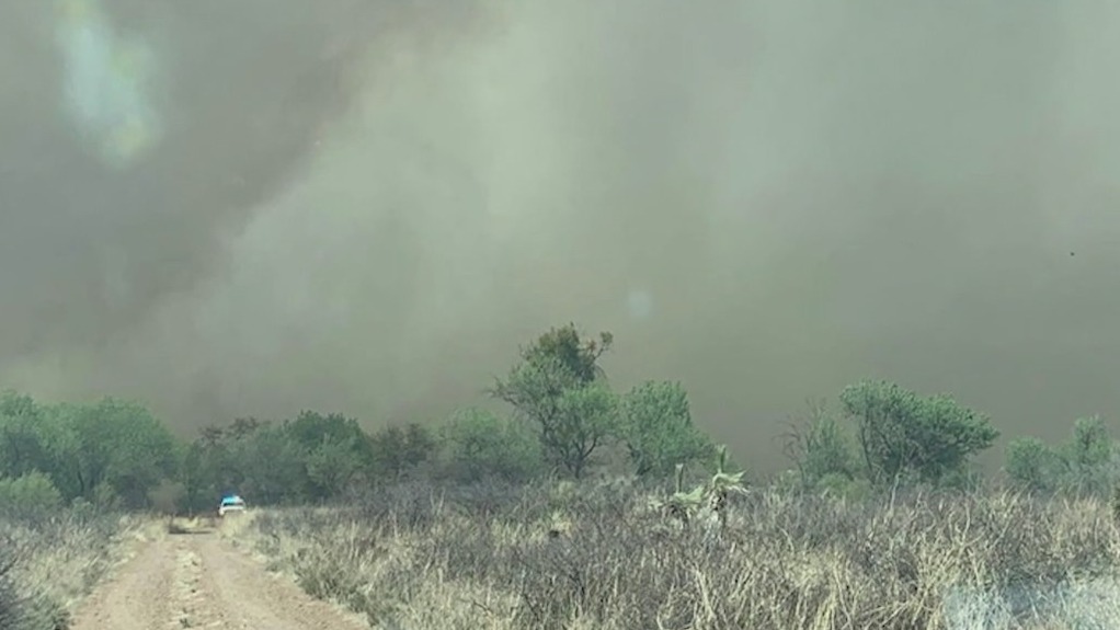 Human-caused Camino Fire destroys 750 acres in southern Arizona | FOX ...