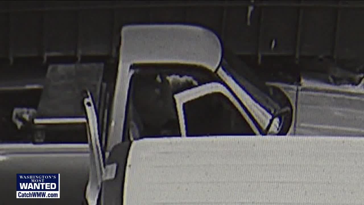 WMW Mountlake Terrace vehicle prowl tool thieves | FOX 13 Seattle
