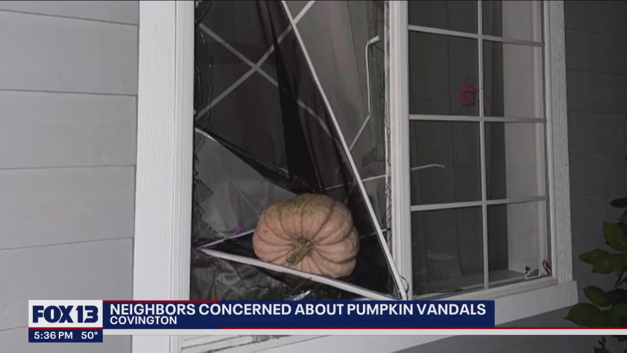 Neighbors in Kent, Covington concerned by pumpkin vandals | FOX 13 Seattle