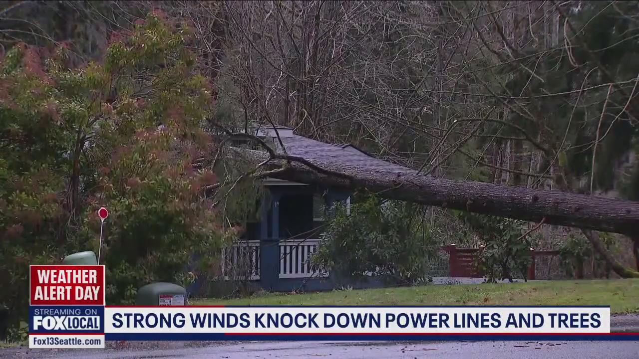 Strong winds knock down power lines & trees, snow pummels the passes ...
