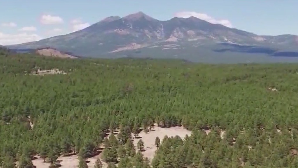US Forest Service releases environmental review of Arizona forests ...