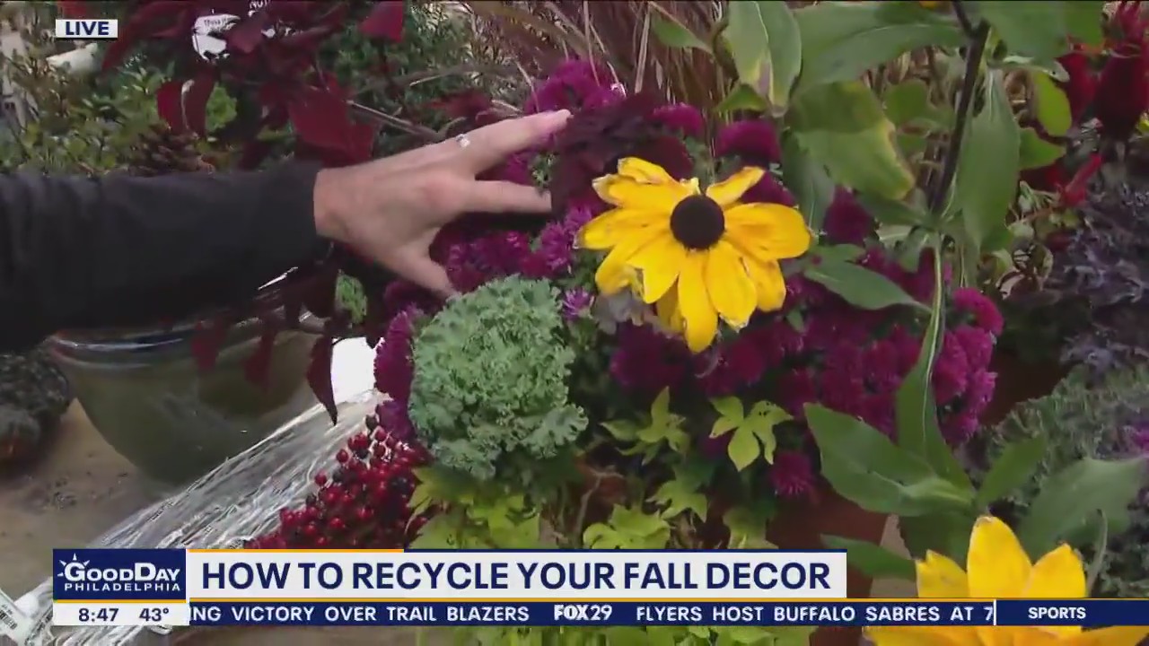 How to recycle your fall decor | FOX 29 Philadelphia