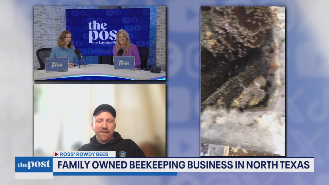 Thousands of Bees Infest North Texas Home | The Post | FOX 4 Dallas ...