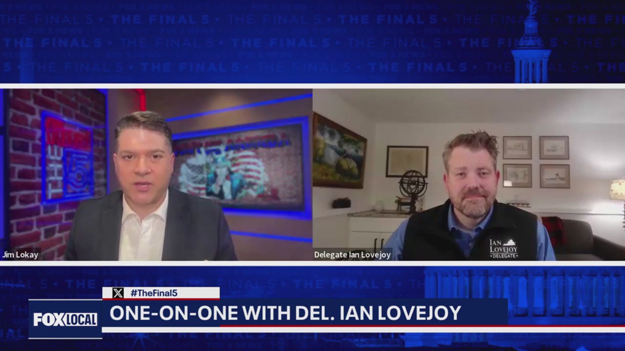 Del. Ian Lovejoy on record spending in key Virginia race | FOX 5 DC
