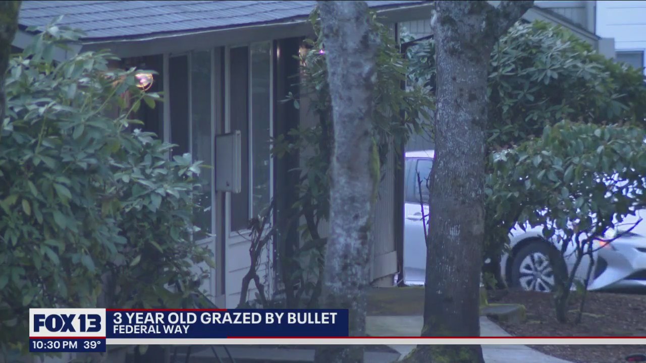 Federal Way 3-year-old grazed by bullet in lower apartment after man ...