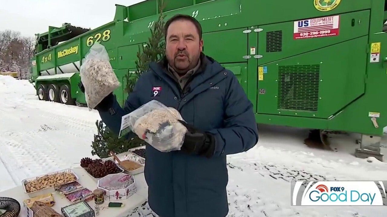 Giving new life to your Christmas Tree | FOX 9 Minneapolis-St. Paul