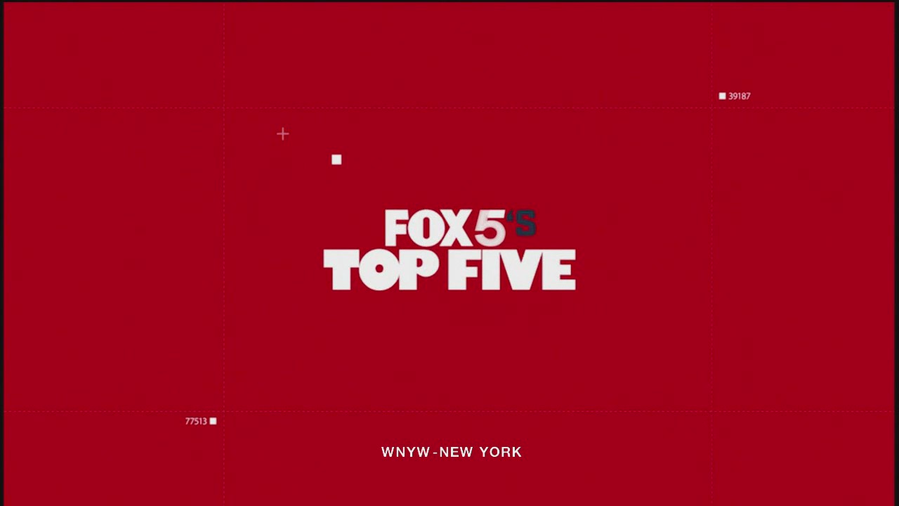 FOX 5's Top 5: Lookback at top stories from 2025 | FOX 5 New York