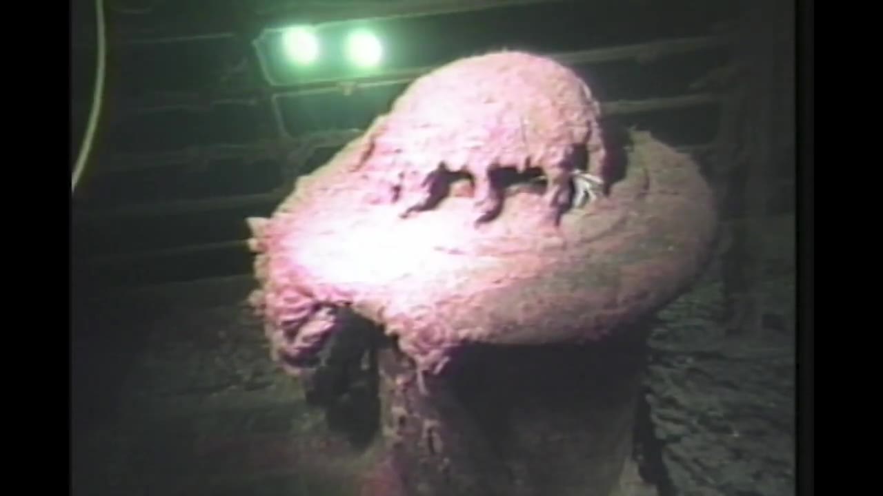 Never-before-seen Titanic footage from 1986 | FOX 10 Phoenix