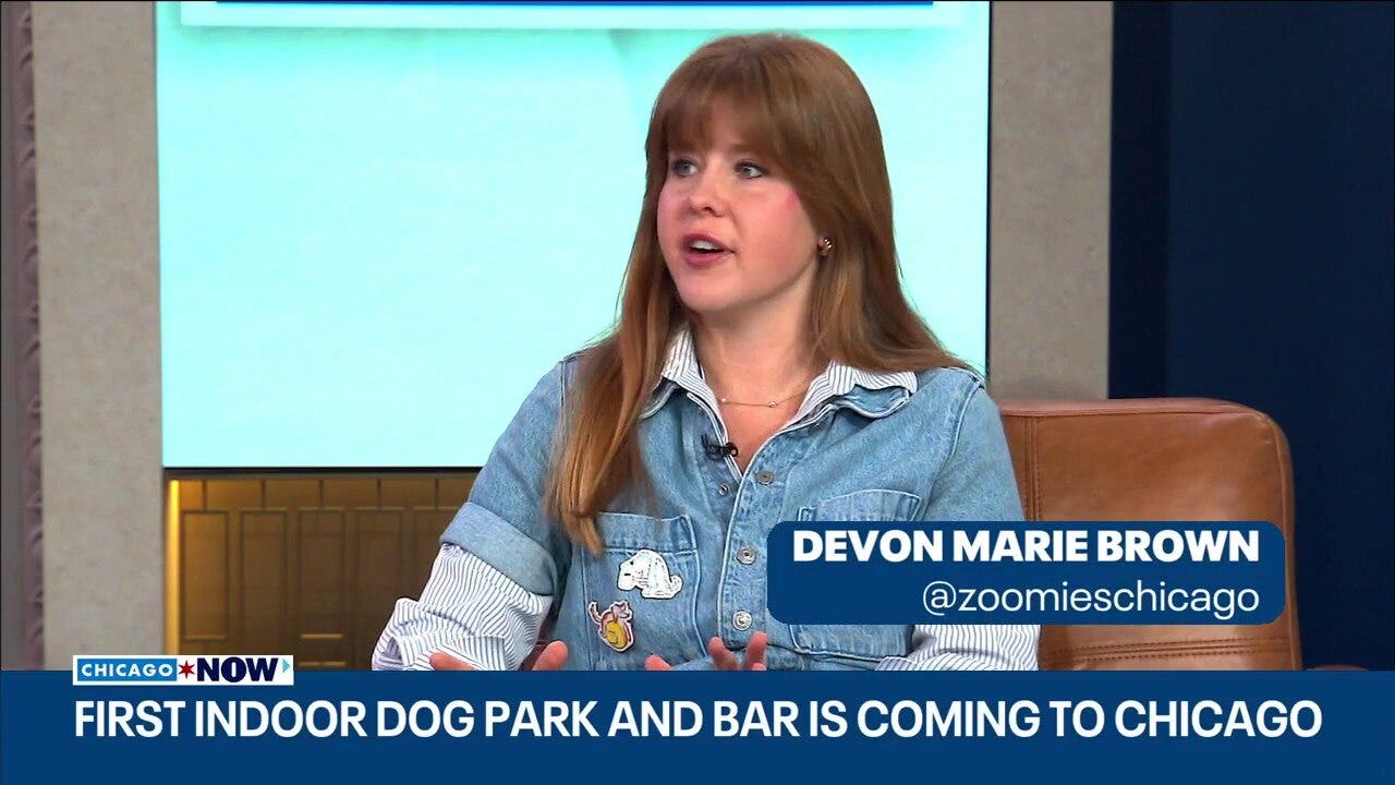 Zoomies brings indoor dog park, bar to Avondale | ChicagoNOW | FOX 32 ...