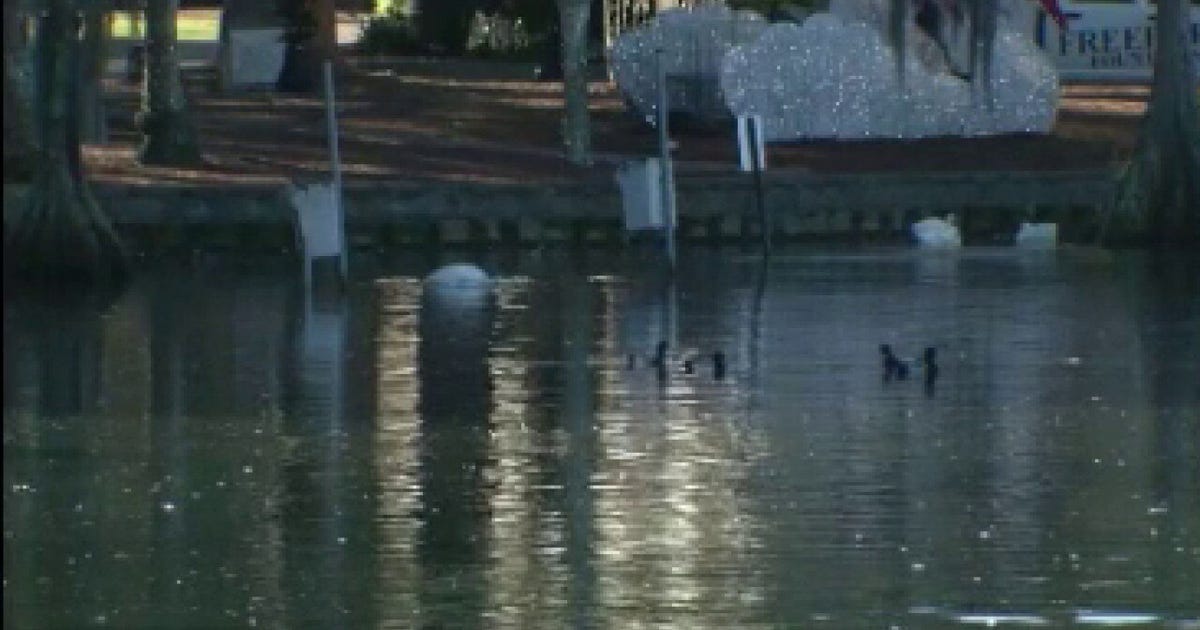 32 birds dead after suspected avian flu in Lake Eola | FOX 51 Gainesville