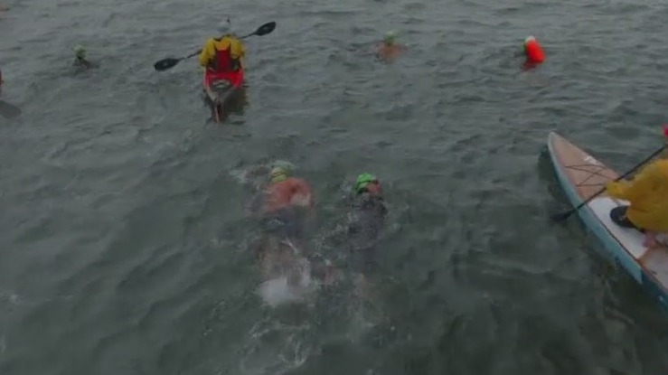 Alcatraz Swim for Sight returns this weekend | KTVU FOX 2