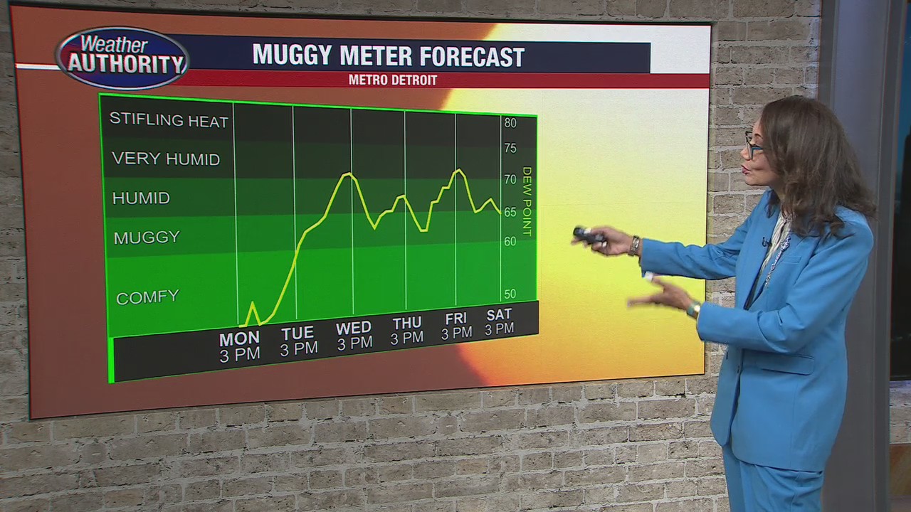Comfortable start to July | FOX 2 Detroit