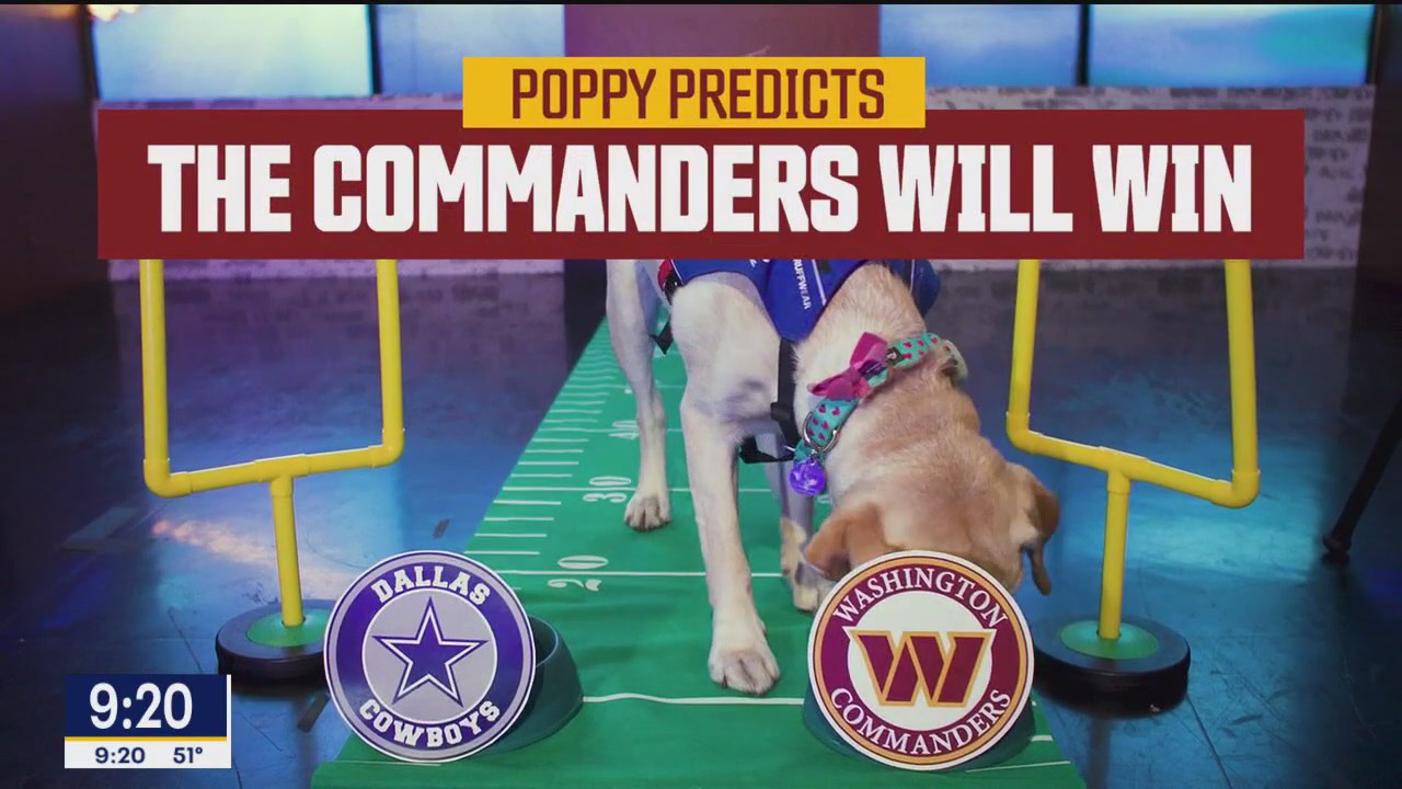 Poppy's Picks: Cowboys at Commanders | FOX 4 Dallas-Fort Worth