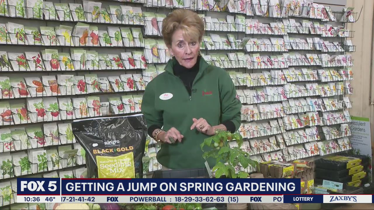 Tips for getting a jump on spring gardening | FOX 5 Atlanta
