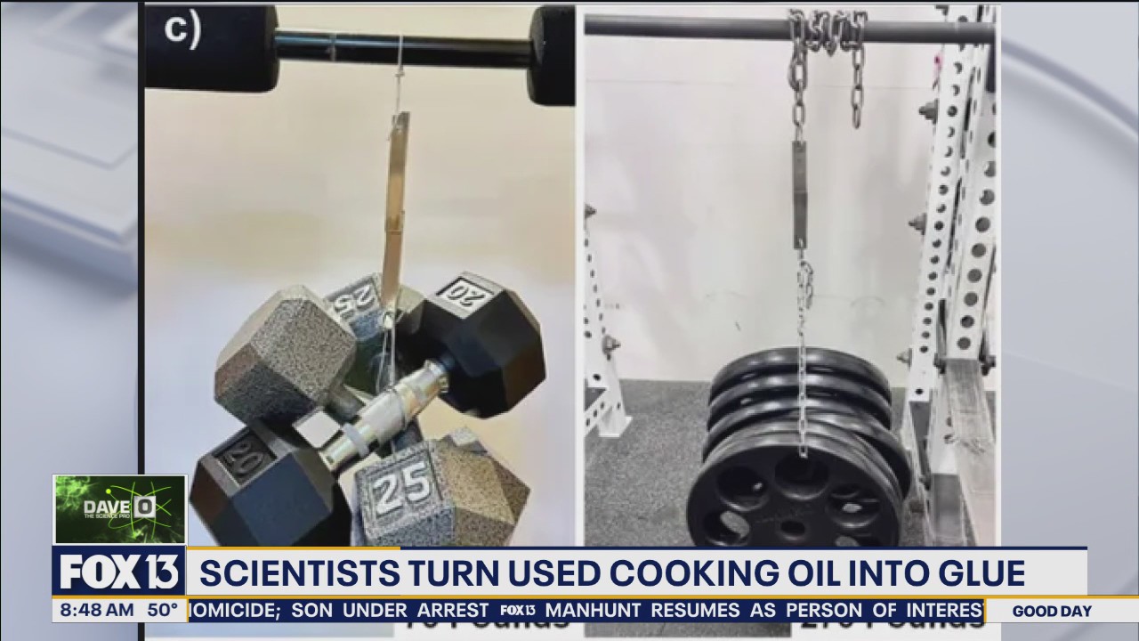 Scientists turn used cooking oil into glue | FOX 13 Tampa Bay