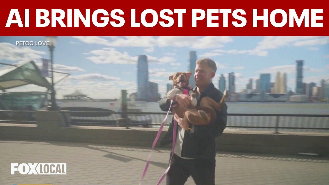 How AI facial recognition is helping bring lost pets back home | FOX 5 ...