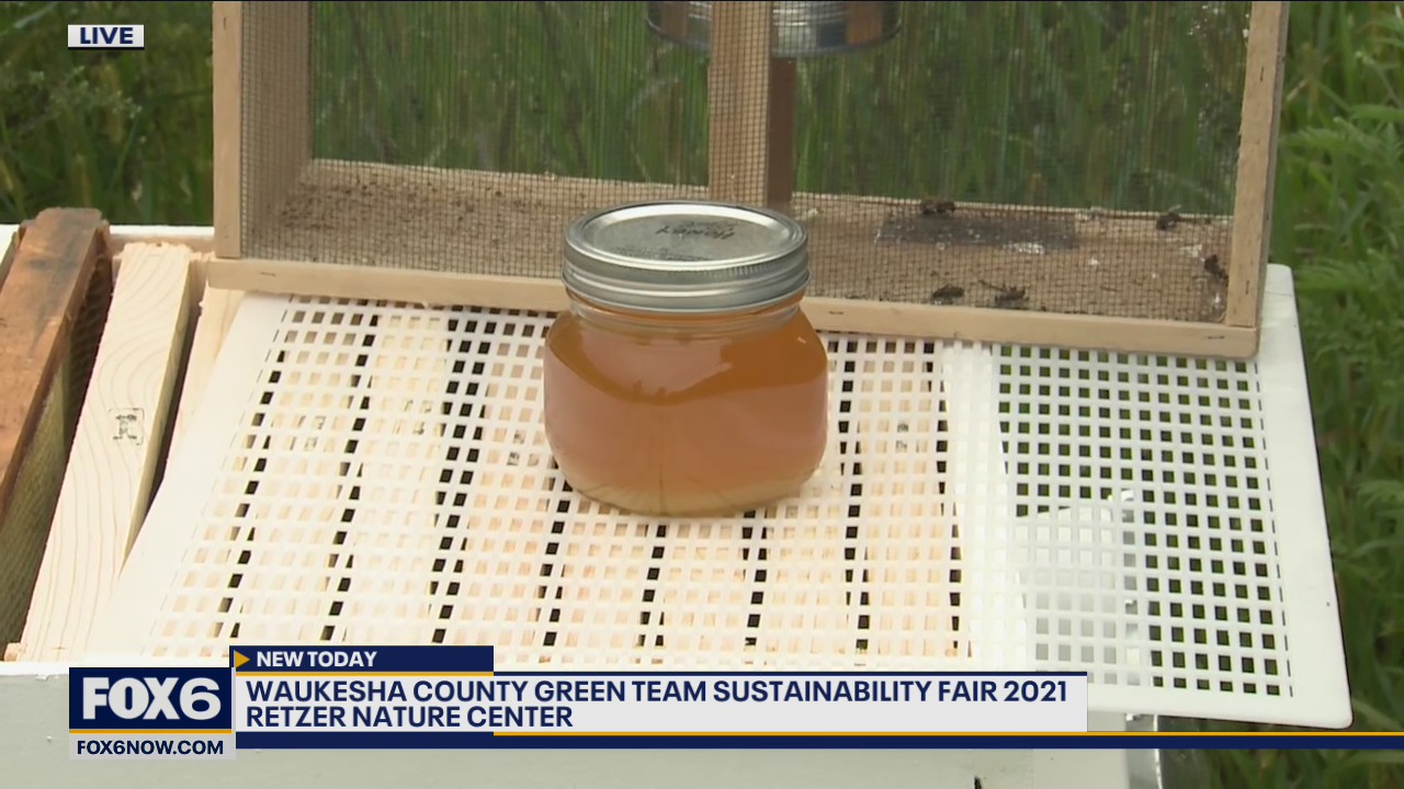 How would you like to do some beekeeping in your backyard? | FOX6 Milwaukee