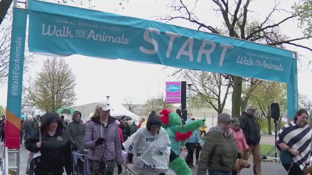 AHS Walk for Animals early registration underway | FOX 9 Minneapolis-St ...