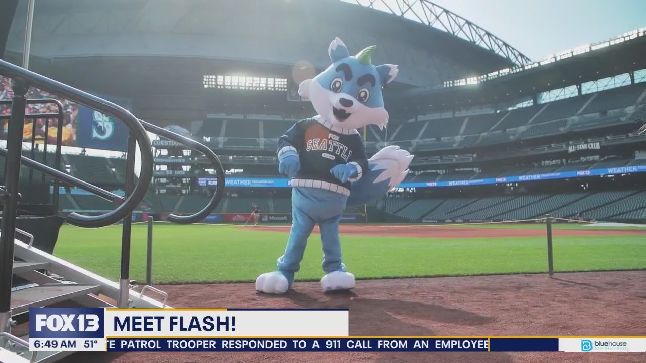 Meet the FOX 13 Seattle mascot Flash | FOX 13 Seattle