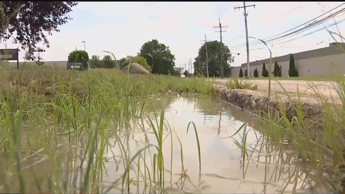 Madison Heights plagued by water main breaks | FOX 2 Detroit