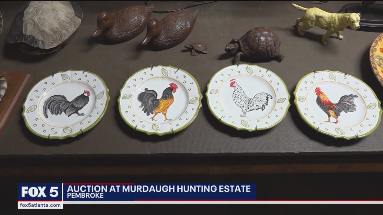Auction of Alex Murdaugh's hunting estate | FOX 5 Atlanta