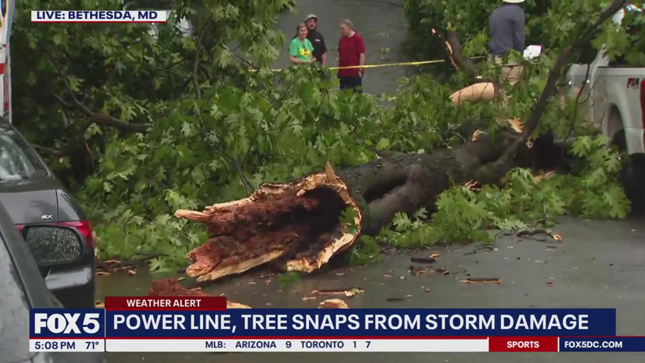 Tree snaps, power lines down following dangerous thunderstorm | FOX 5 DC