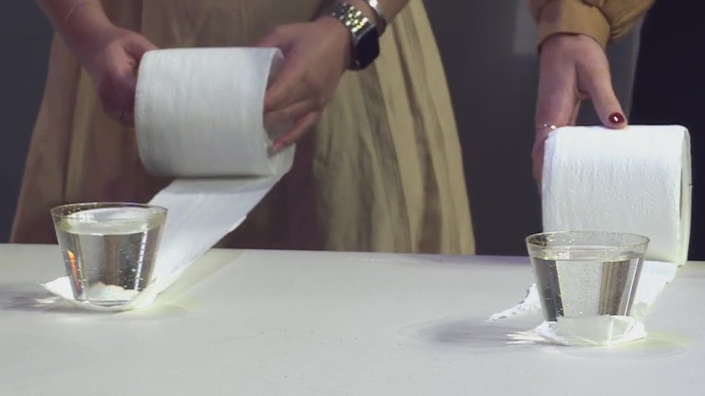 TikTok social media game: Toilet paper challenge | FOX 7 Austin