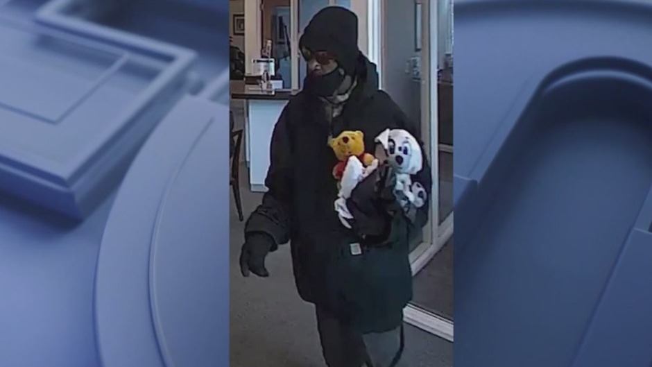 FBI seeks 'Stuffed Bear Bandit' involved in violent bank robbery | FOX ...