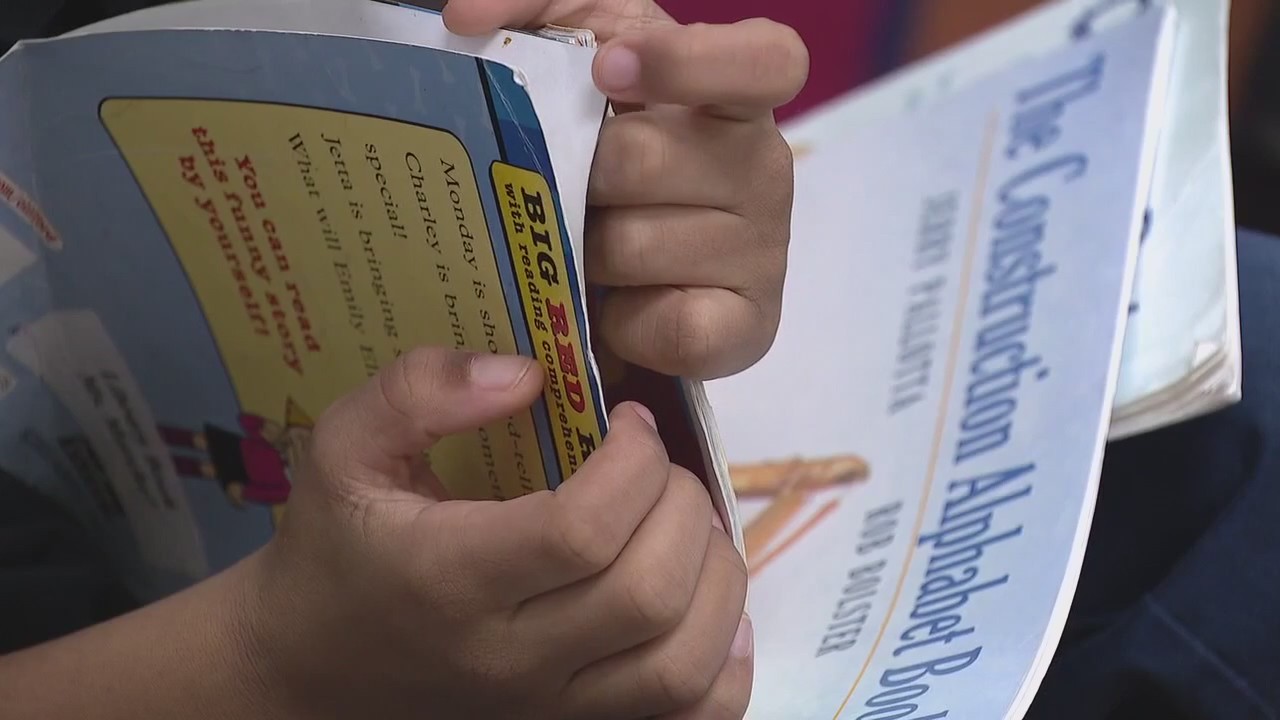 What's driving Detroit schools' low reading scores? | FOX 2 Detroit