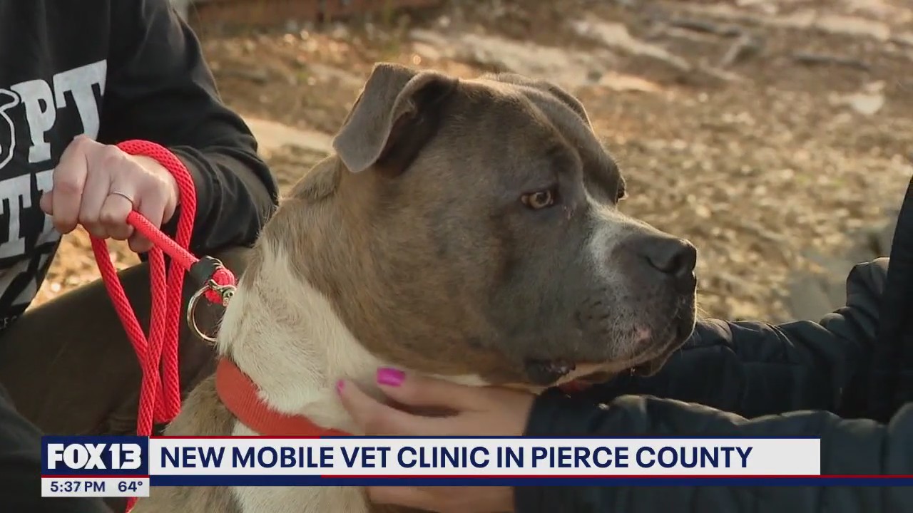 New mobile vet clinic in Pierce County | FOX 13 Seattle