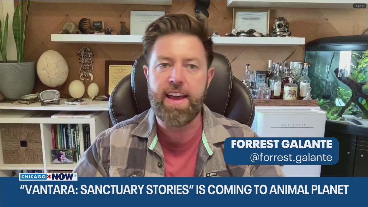 Forrest Galante explores endangered species in latest wildlife project ...