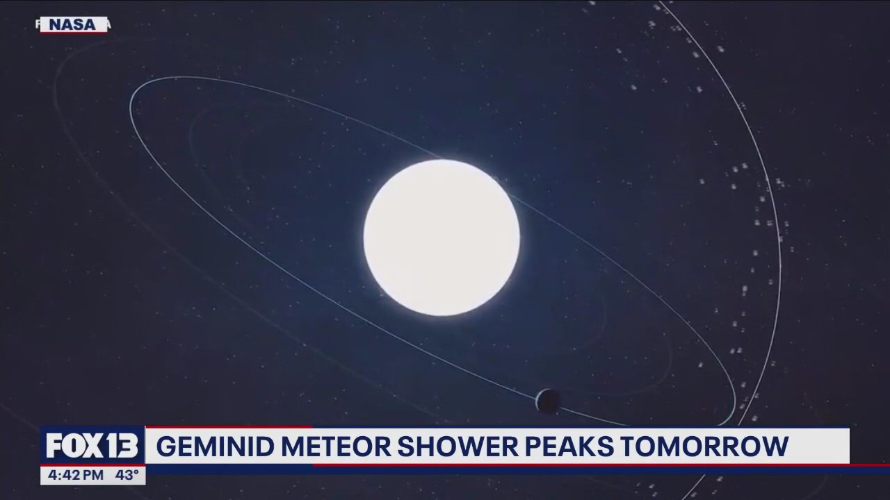 Geminid meteor shower to peak on Friday | FOX 13 Seattle