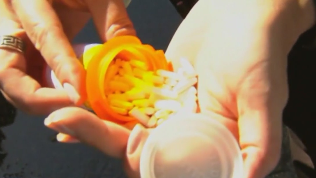 State, local leaders gather for opioid crisis summit | FOX 13 Tampa Bay