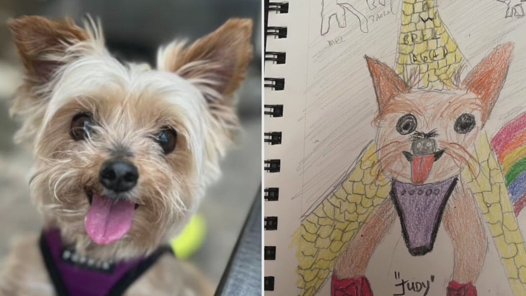 Poorly drawn pets; FOX6's Ted Perry takes a shot | FOX6 Milwaukee